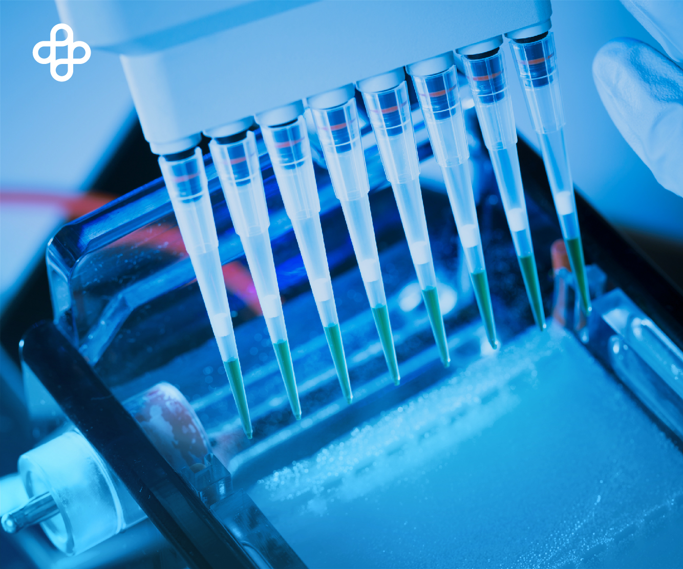 Células madre germinales - Centro Médico Eternal