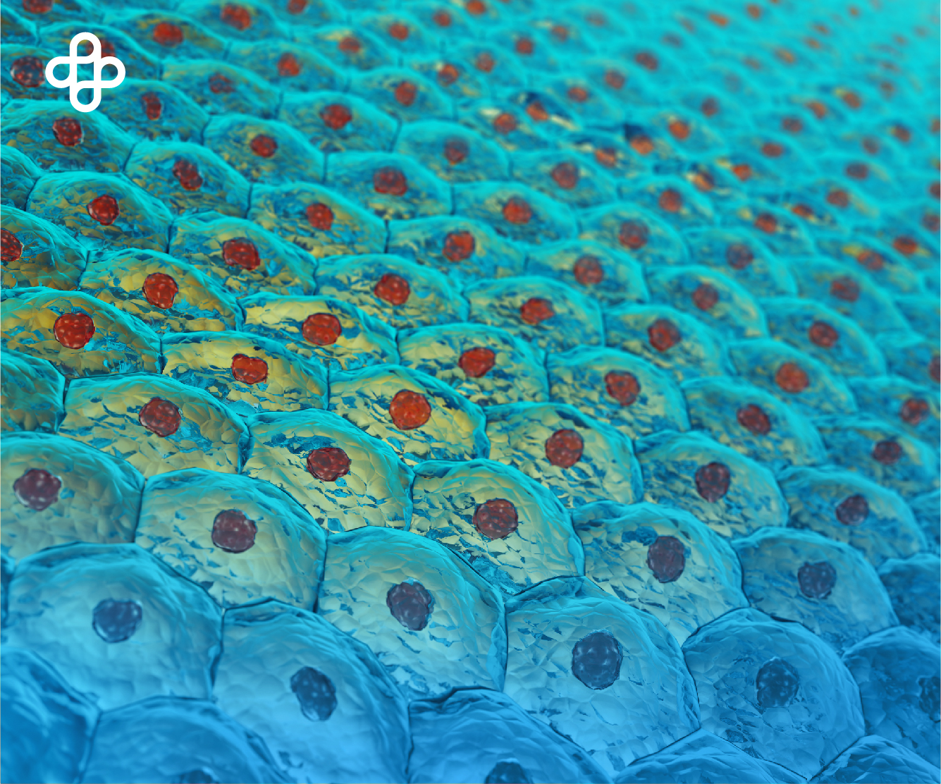 Células madre definición - Centro Médico Eternal